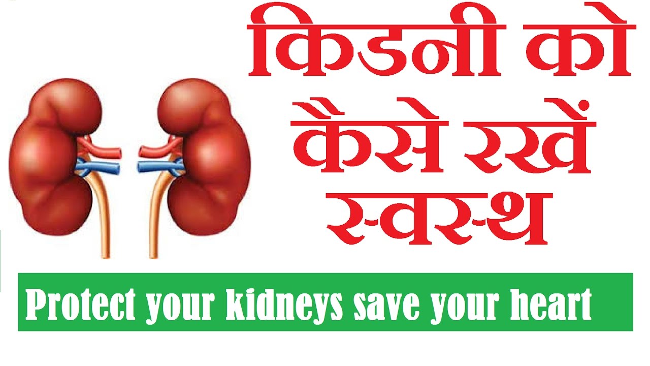 किडनी को कैसे रखें स्वस्थ | Protect your kidneys save your Heart - YouTube