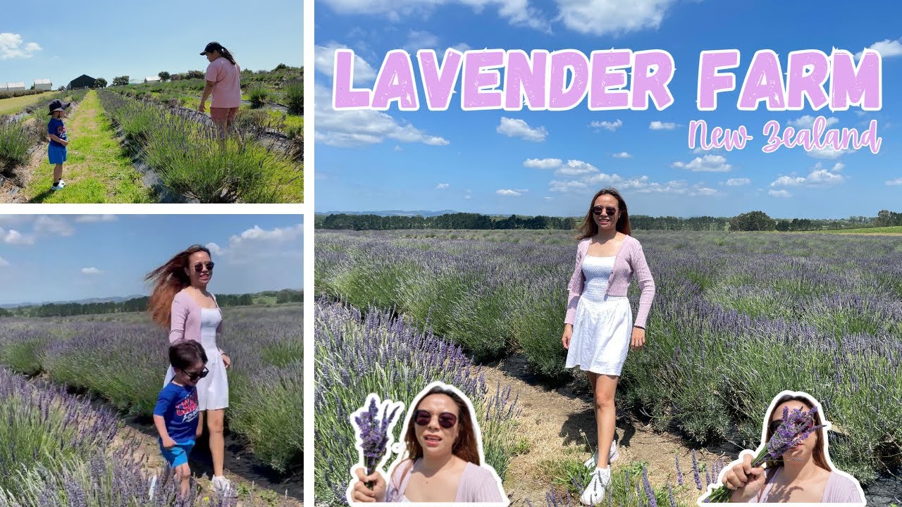 CCT LAVENDER FARM | Kate Obsekyu - YouTube