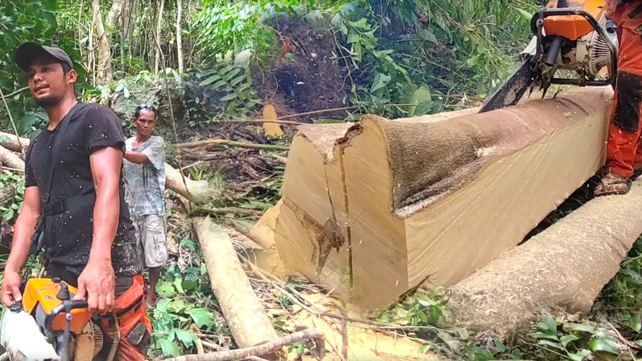 Woodworking process chainsaw Philippines||Totordz Tv - YouTube