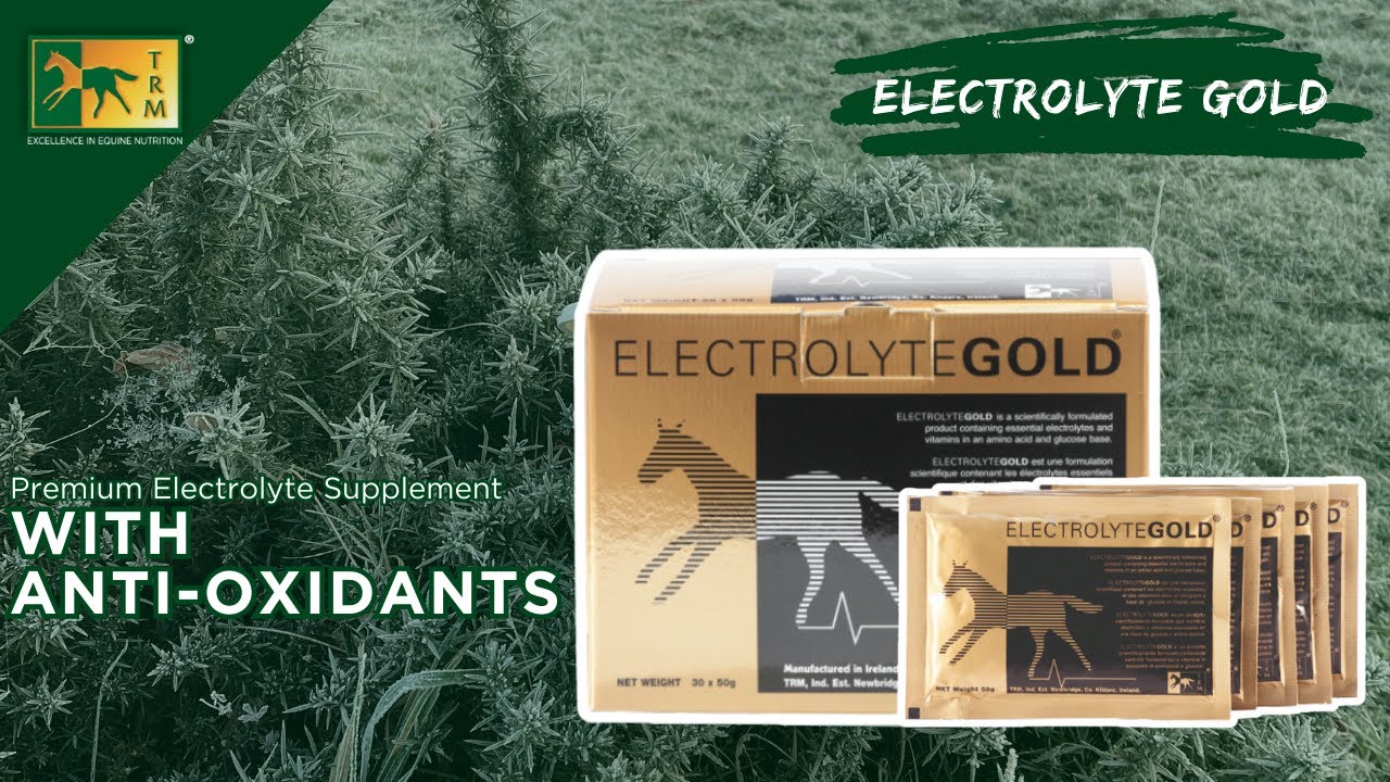 Electrolyte Gold - Premium Electrolyte Supplement with Anti-Oxidants ...