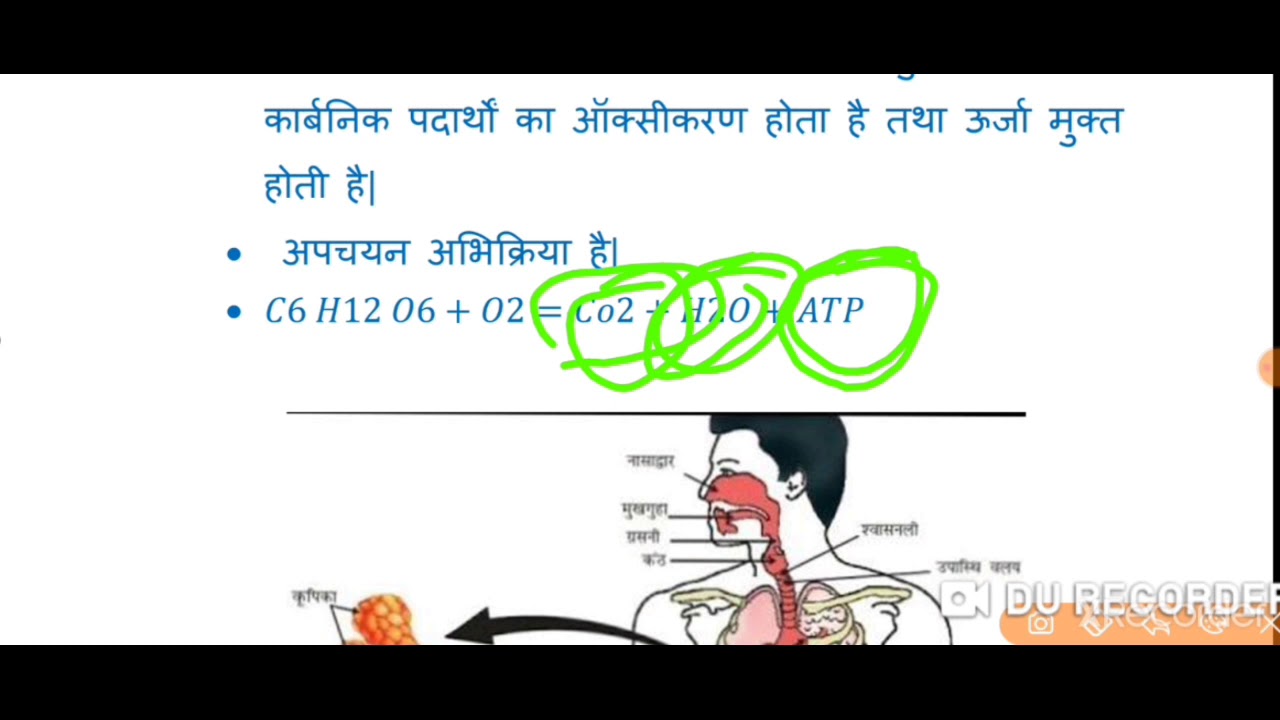 Introduction of biology part 2 - YouTube