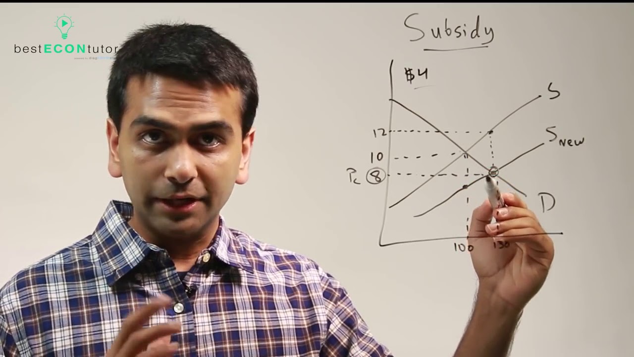 Microeconomics: Subsidy - YouTube