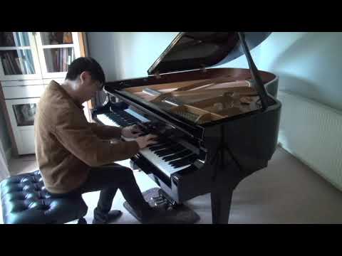 Chopin 'Black Keys' Etude Op.10 No.5 - YouTube