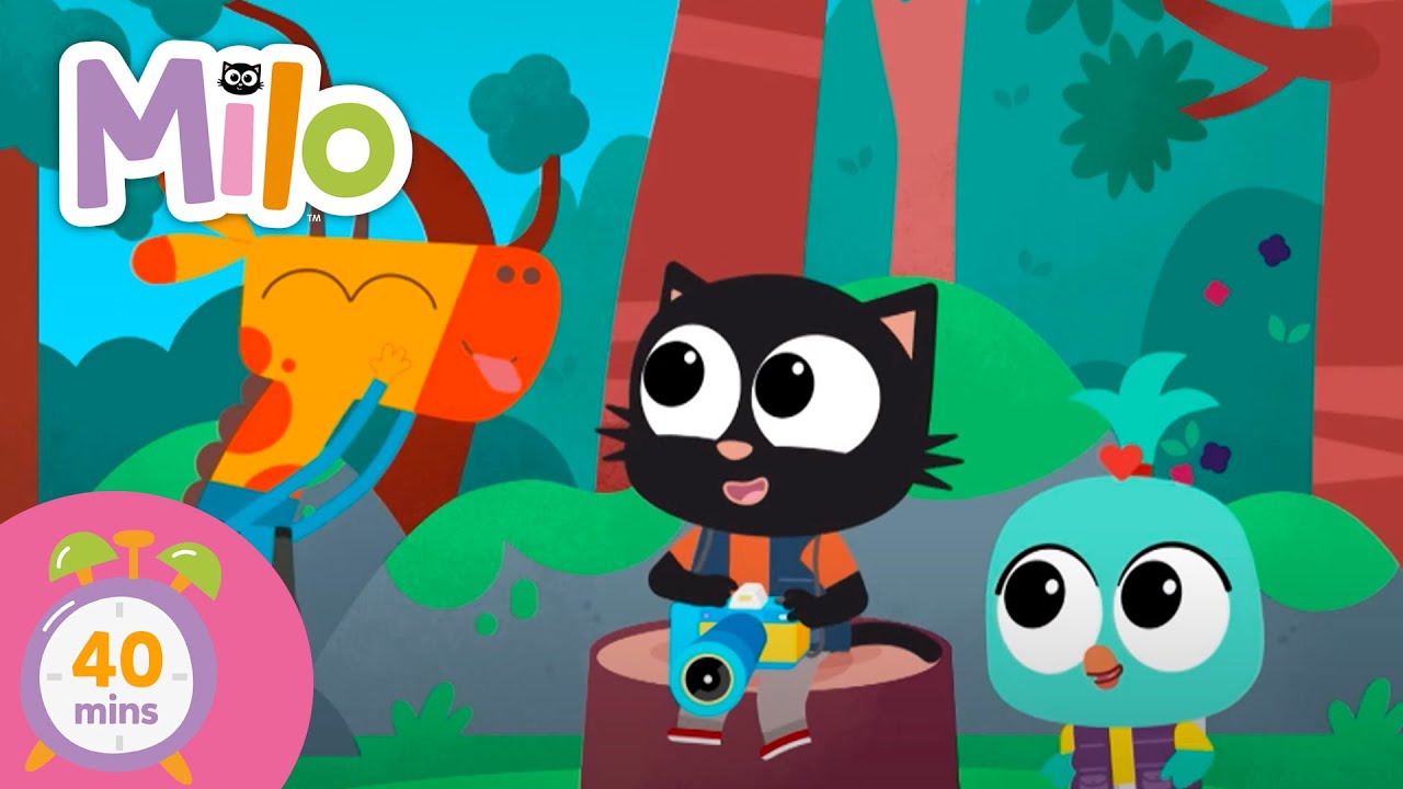 What outdoor activities can you do with kids?🪁 | Milo, The Cat # ...