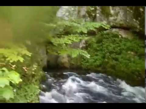 Sipovo Izvor Plive 2 deo - YouTube