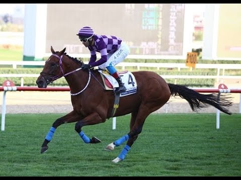 Ankara Koşusu (Grup - 1) 23/09/2017