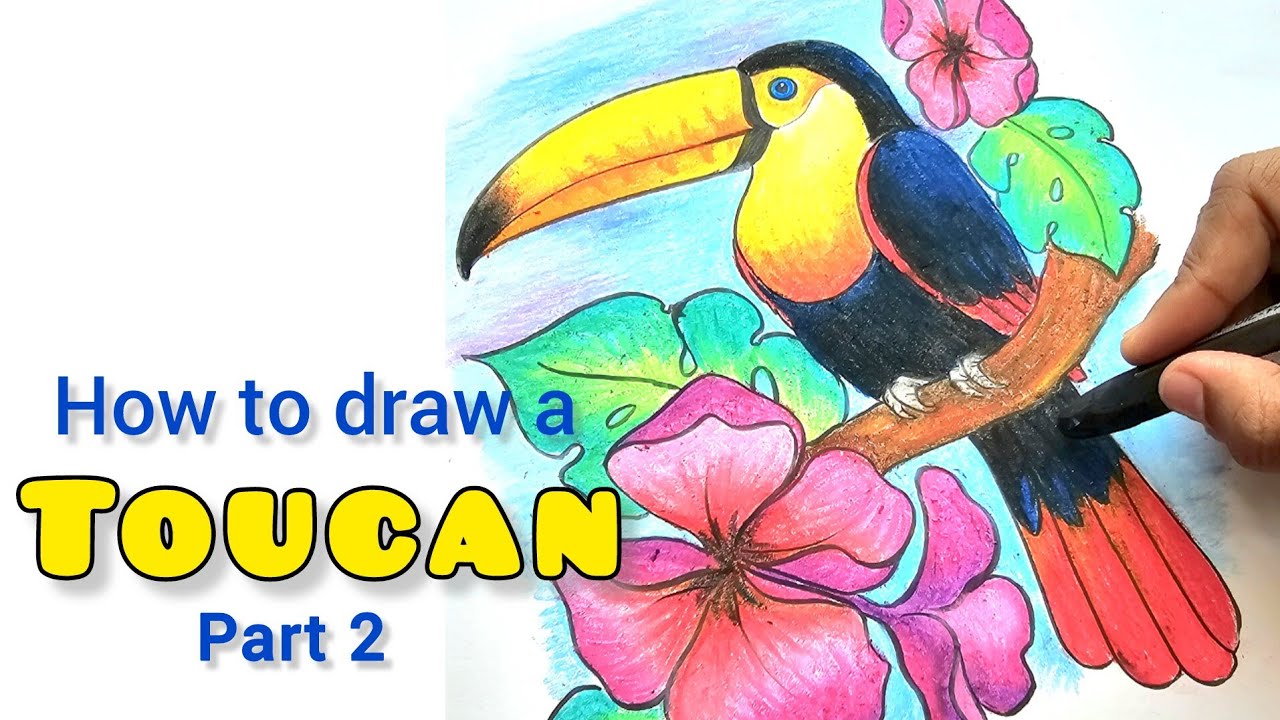 How to draw a Toucan Part- 2 Colouring| Step by step drawing for ...