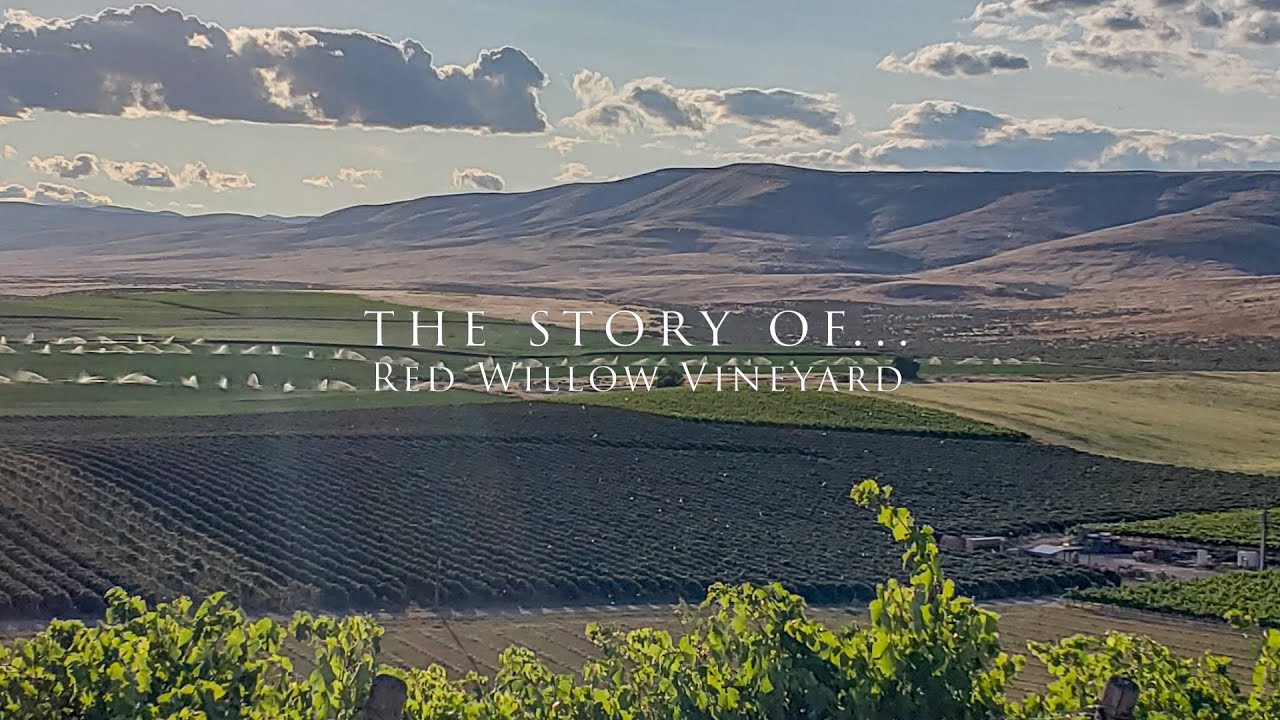 the story of Red Willow Vineyard - YouTube