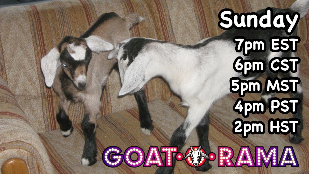 Goat-o-Rama Fiddle Violin Live Stream | Feb 28, 2021 - YouTube