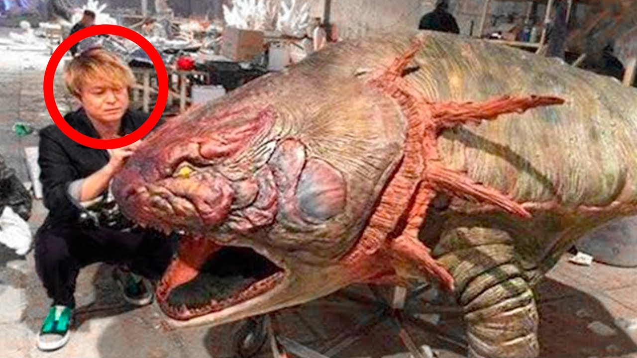 They Discovered a Bizarre Creature in Borneo’s Jungle, What Happens ...