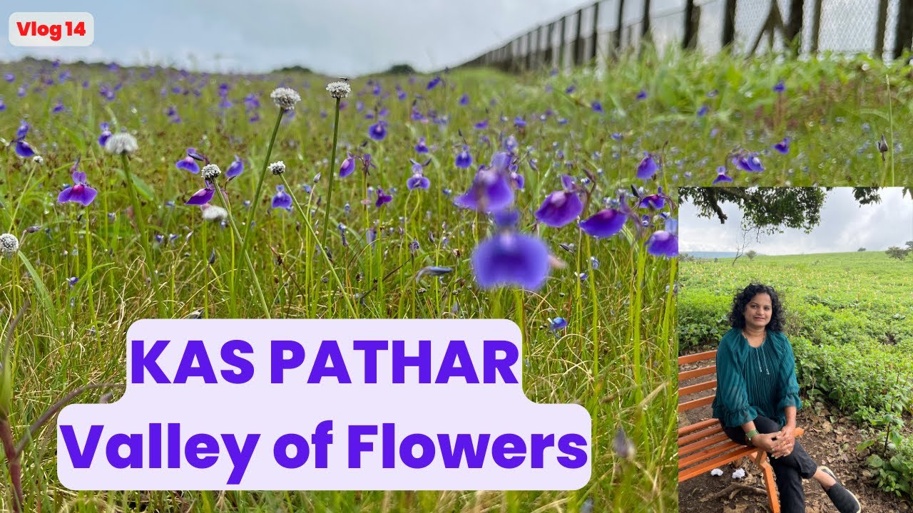 Kas Pathar/Satara/Valley of flowers/ Boating Bamnoli Village/Step Well ...