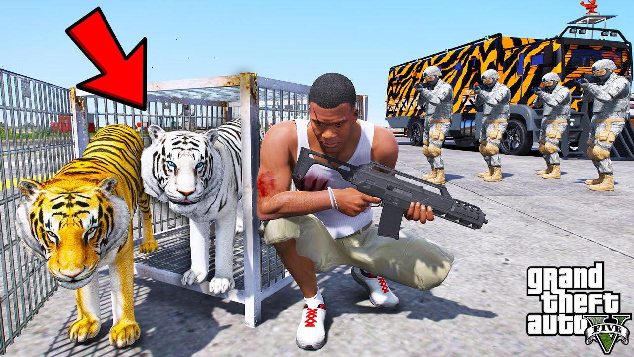 Franklin Trying To Rescue His Tigers From Army in GTA 5 | SHINCHAN and ...