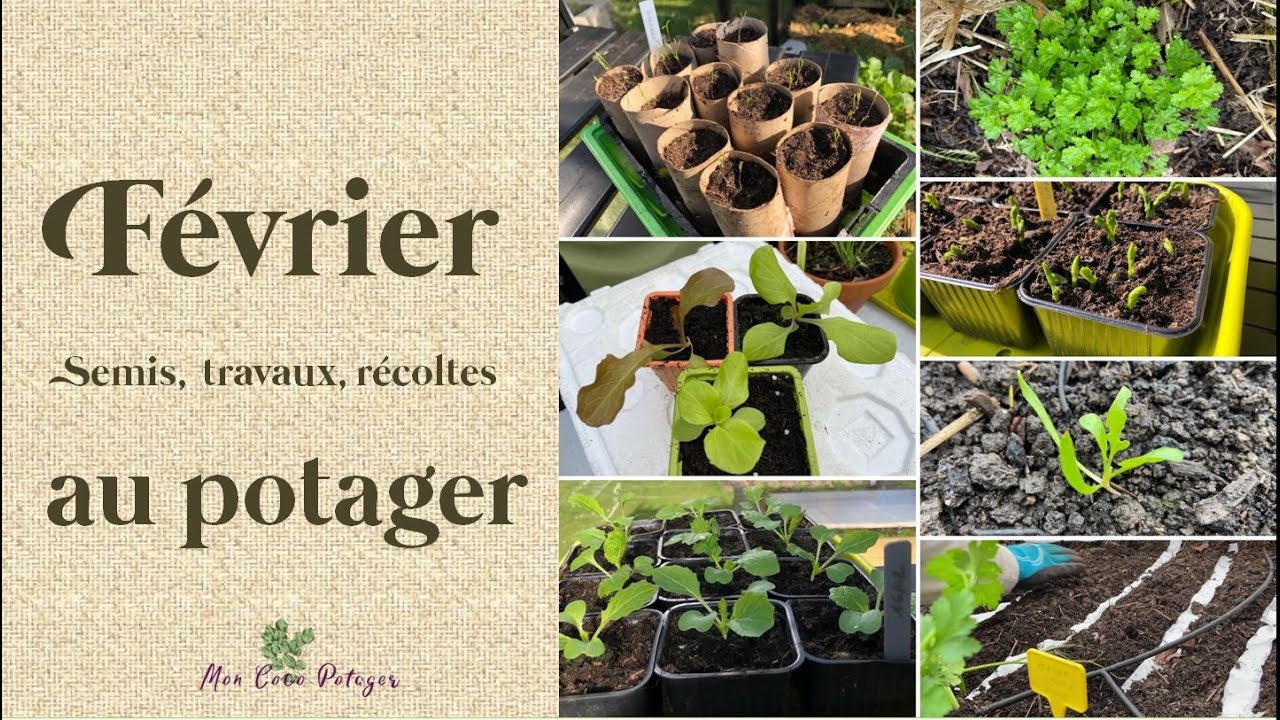 Que faire en Février au potager ? - YouTube