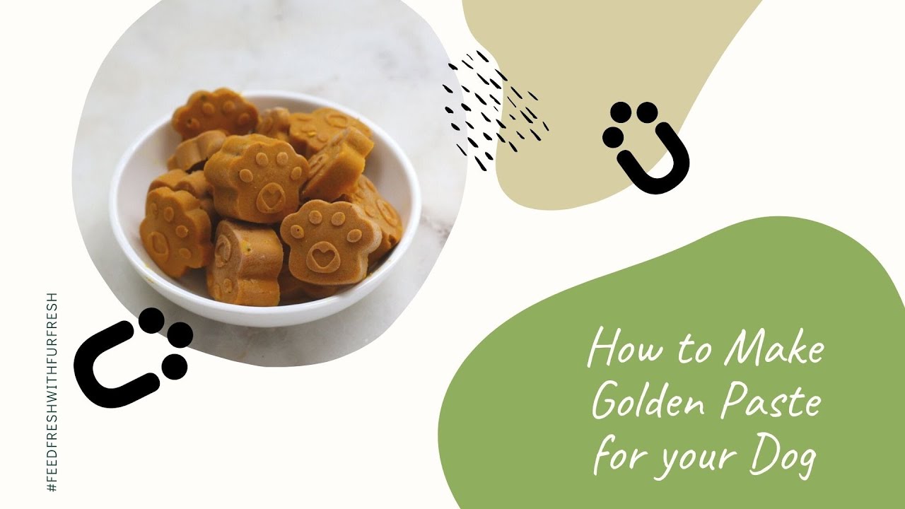 How to make Golden Paste (Turmeric Paste) for your dog! [RECIPE] - YouTube