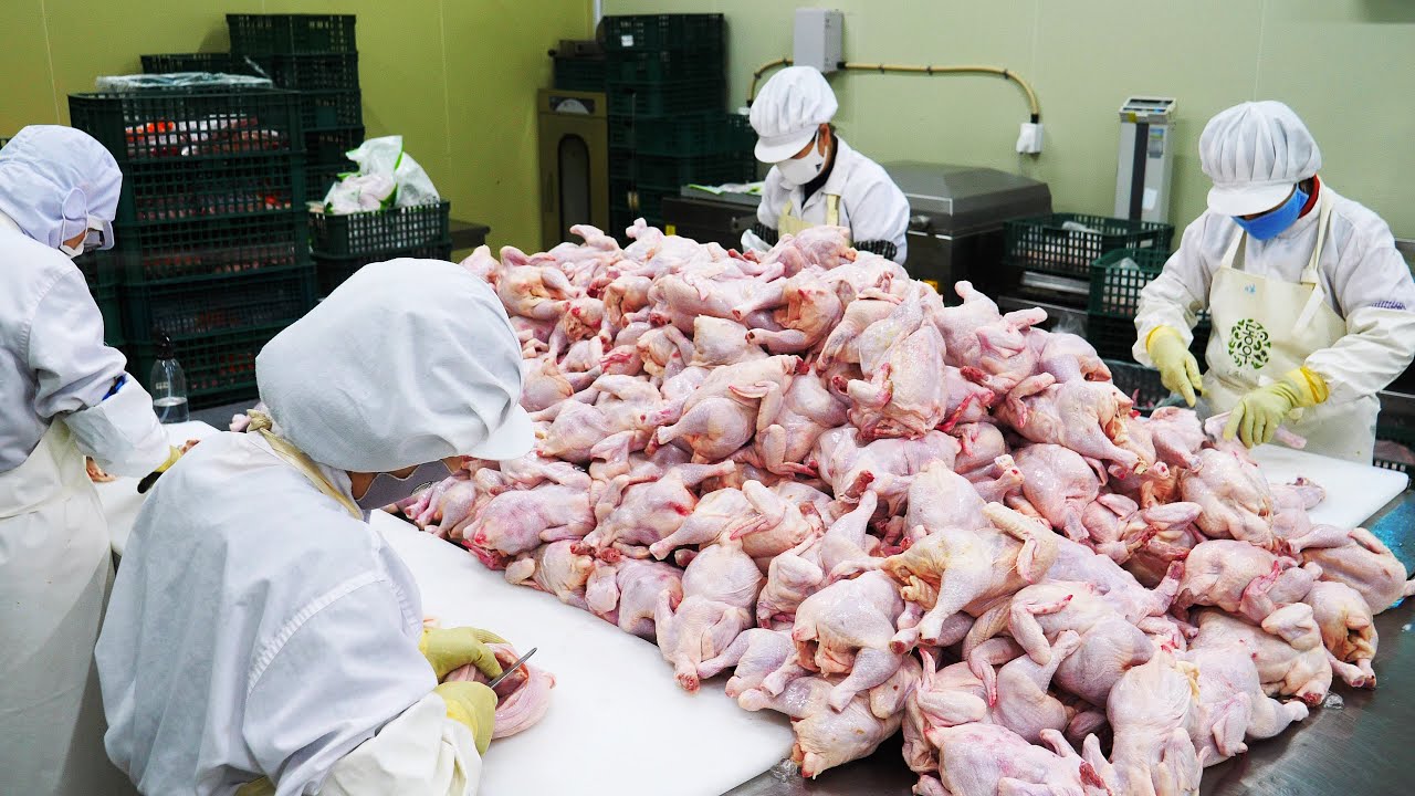 언제까지 치킨을 배달해 먹을거야? 굽네보다 맛있다고 칭찬 받은 에어프라이어 치킨 /A live scene of a chicken ...