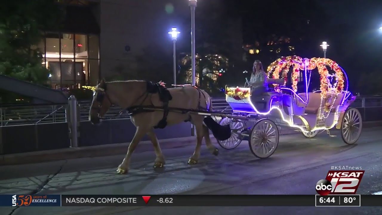 'While You Were Sleeping': Horse-drawn carriage crew stays on move into ...