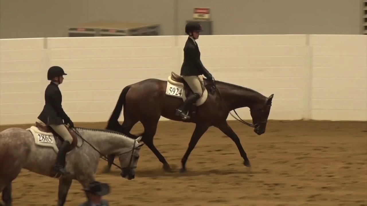 191018 Level 1 Youth Hunter Under Saddle 14 18 Tianna Cooper on Indie ...