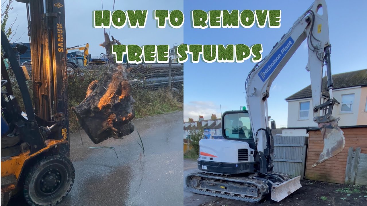 How to remove tree roots using digger. Just for fun - YouTube