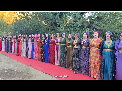 Gazi yıldırım muhteşem kürt halayı gowenda kurmil kurdish wedding 