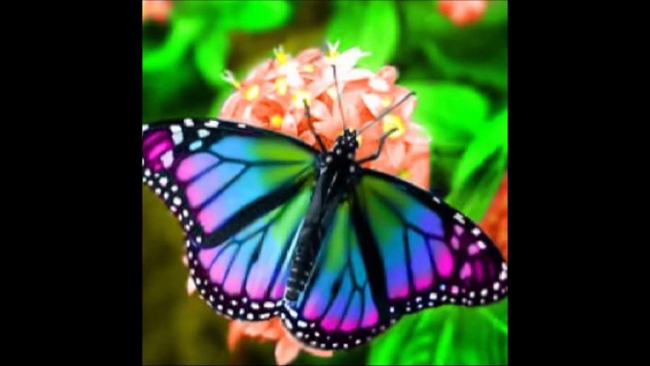 Dons Taureņi - YouTube