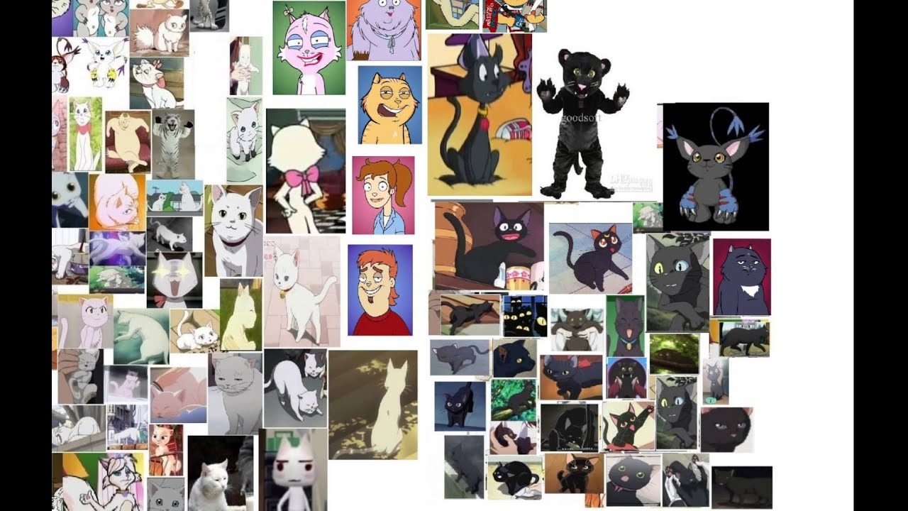 Slacker cats pictures - YouTube