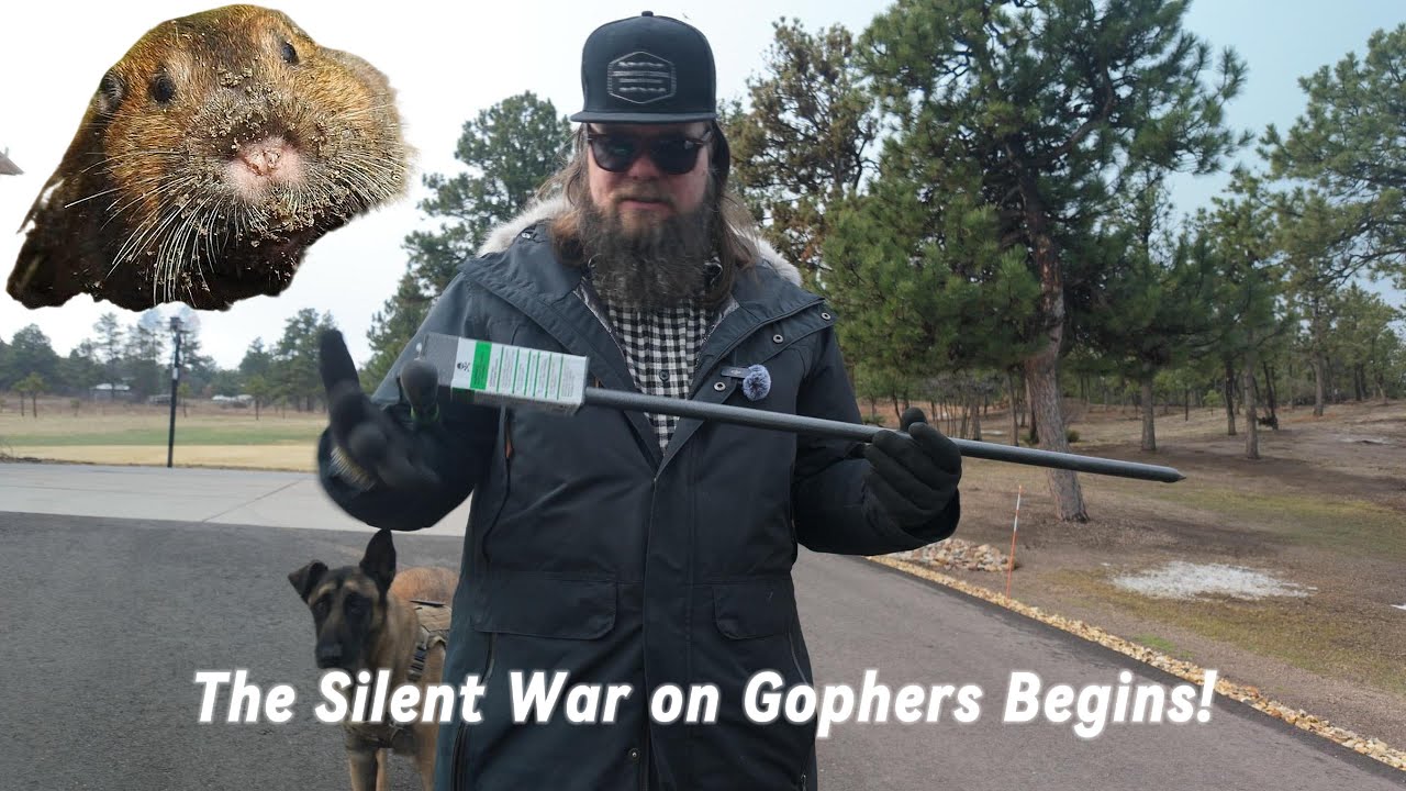 Gopher Baiting in Black Forest | How I Use Kaput Bait to Take Back the Yard - YouTube