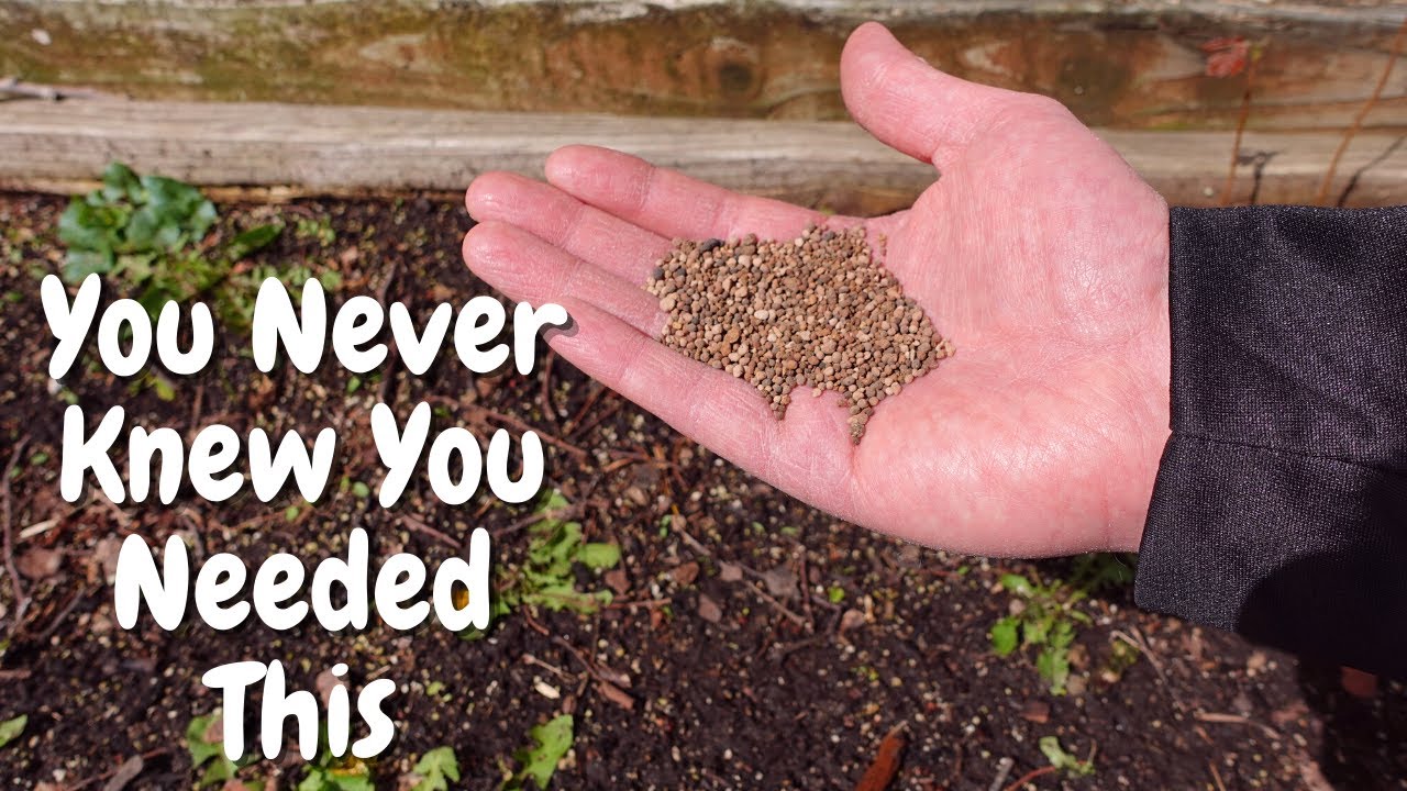The Soil Amendment You Never Knew You Needed | Using Azomite In Your ...