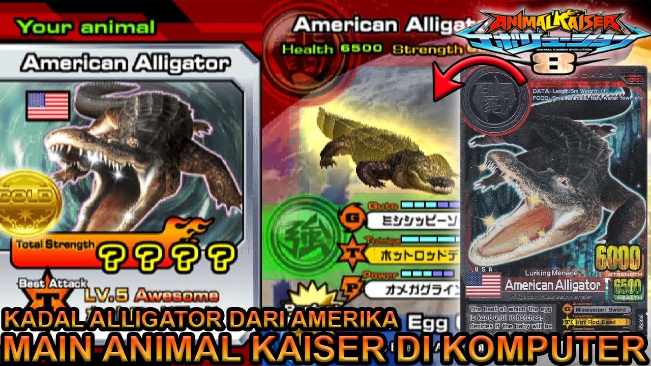 NYOBAIN KADAL AMERIKA AMERICAN ALLIGATOR DI KOMPUTER !!! - ANIMAL KAISER EVOLUTION PC - YouTube