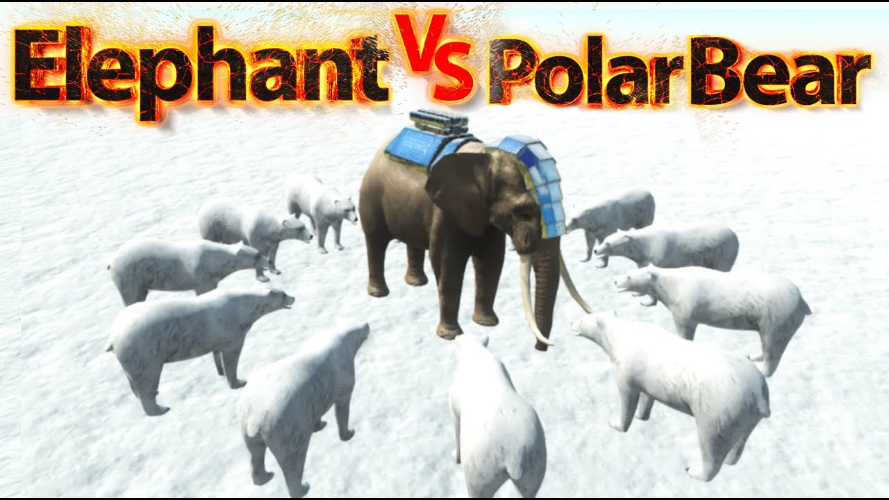 Elephant VS 12 Polar Bear ! ARBS - YouTube