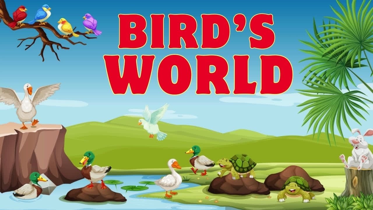 Bird's World || Cartoon Birds || Animated Story For Kids || Tin Ton ...