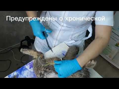 История жизни Зевса - YouTube