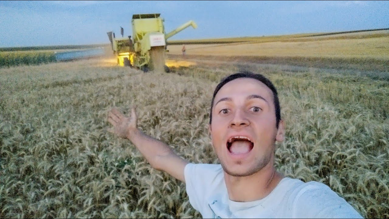 Prima zi de recoltare la grâu pe 2021! - YouTube