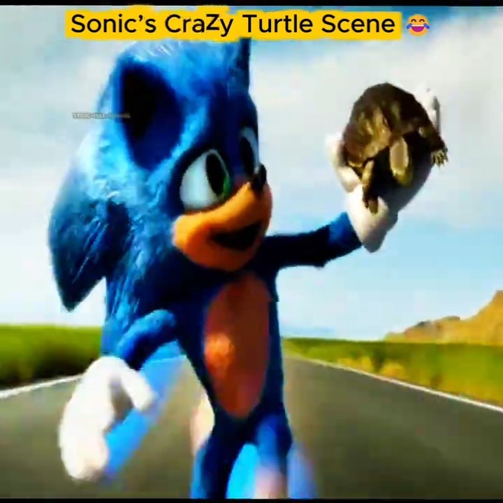 Sonic’s First Adventure with Turtle | Sonic Hedgehog Movie Short clip ...