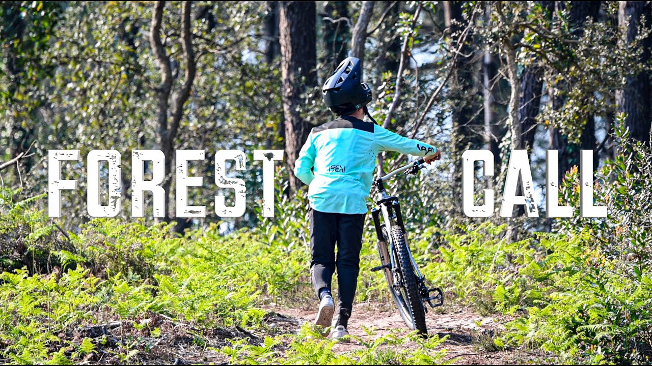 FOREST CALL - YouTube