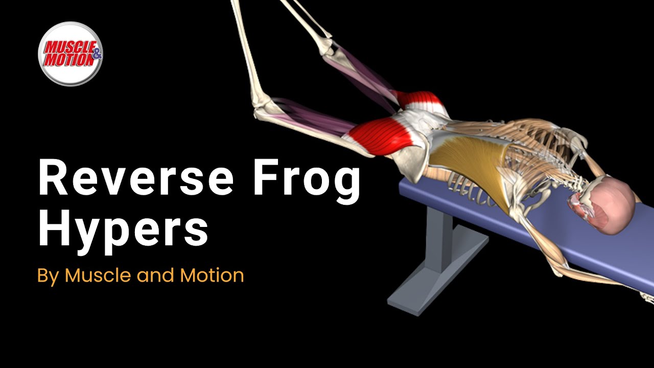 Master Reverse Frog Hypers: Build Glutes & Core Stability - YouTube