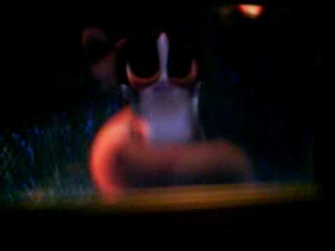 mort from madagascar crying - YouTube