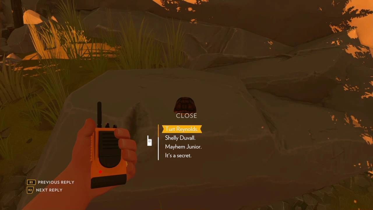 Firewatch(PS4) - Turtle - YouTube