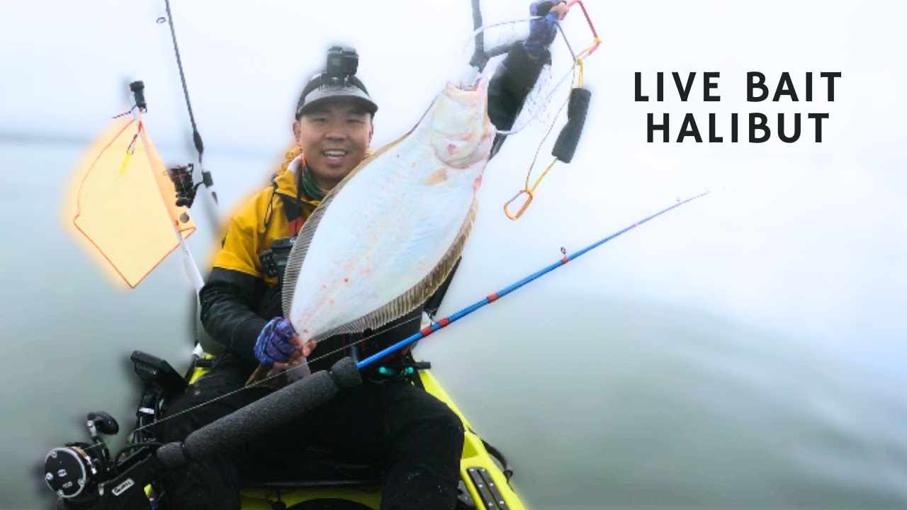 How to catch Halibut using LIVE BAIT | Halibut Fishing San Francisco ...
