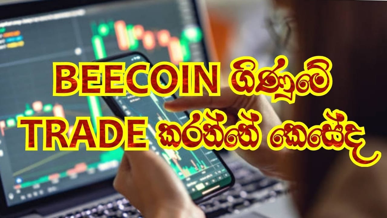 How to trade in beecoin account // Sunbird with beecoin - YouTube