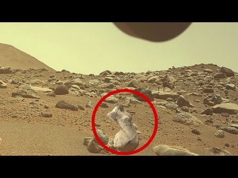 Mars Rover Capture Videos of Mars || Mars 4k New Video || Most latest ...