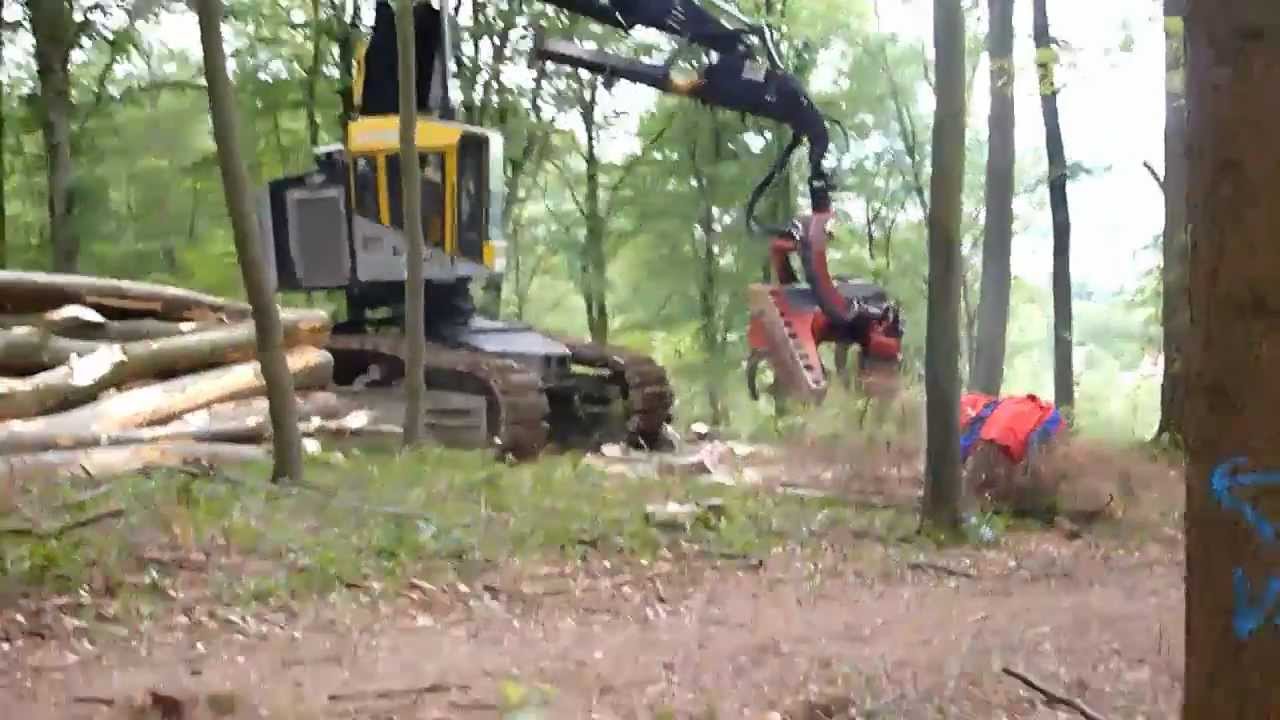 Timberpro TL735-B & SP761LF @ KWF - YouTube