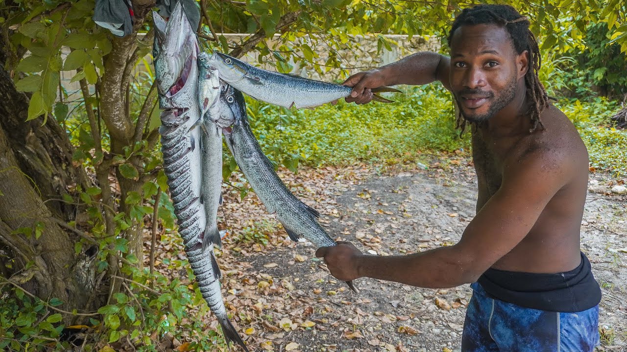 Shooting Fish on the bank Rainbow Mackerel, Barracudas | Catch N Cook ...
