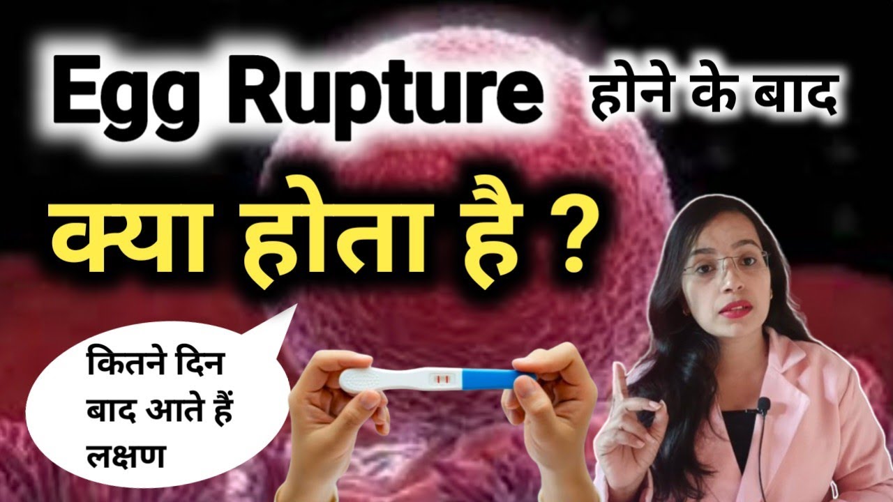 egg rupture hone ke kitne din baad pregnancy consive hoti hai ...