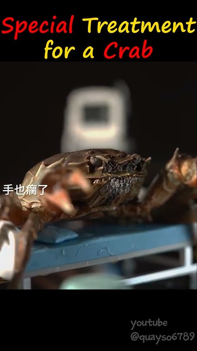 Special Treatment for a Crab - YouTube