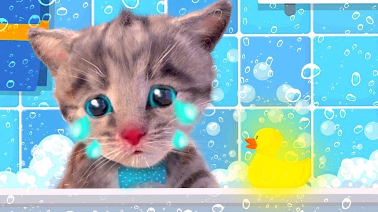 ANIMATED LITTLE KITTEN ADVENTURE OF A KITTY PURR PURR STORIES Best ...