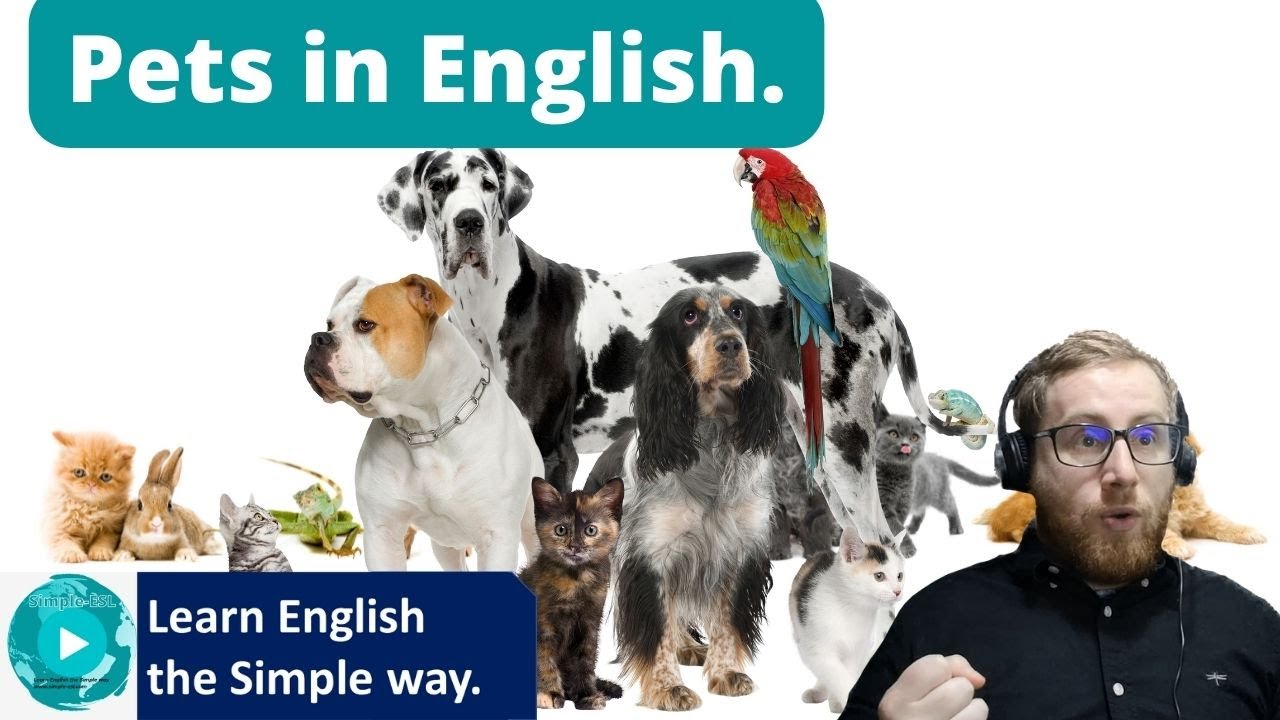 Furry Friends: English Vocabulary for ESL Learners - Exploring Pets ...