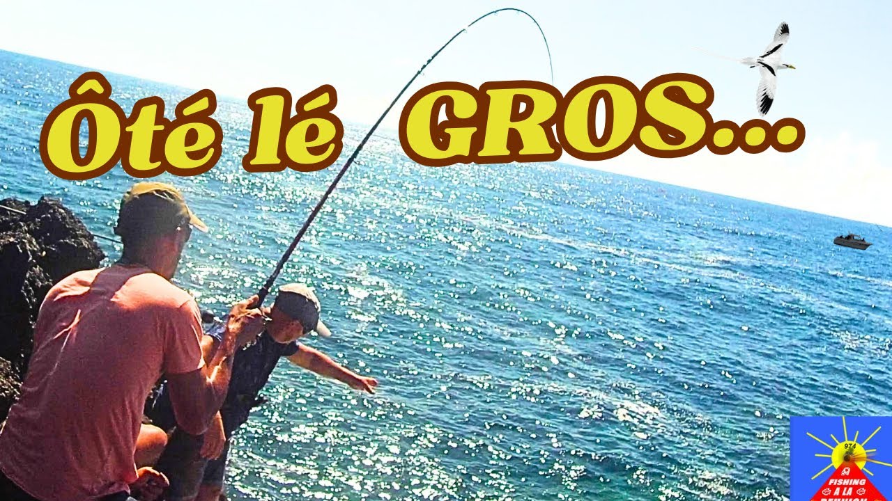 Nature Sauvage Un Spot Des Poissons Pêche Du Bord De Mer à La Réunion ...