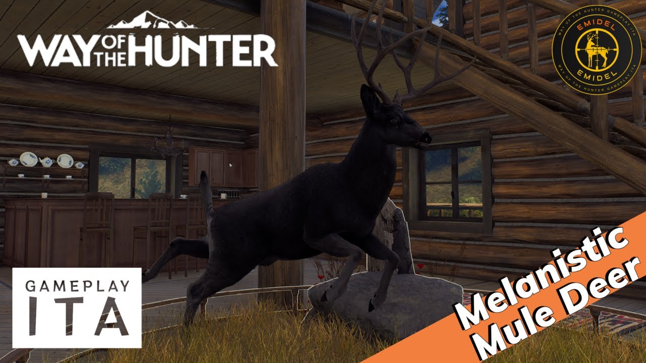 Cervo mulo Melanico - Melanistic Mule Deer - Way of the Hunter gameplay ...
