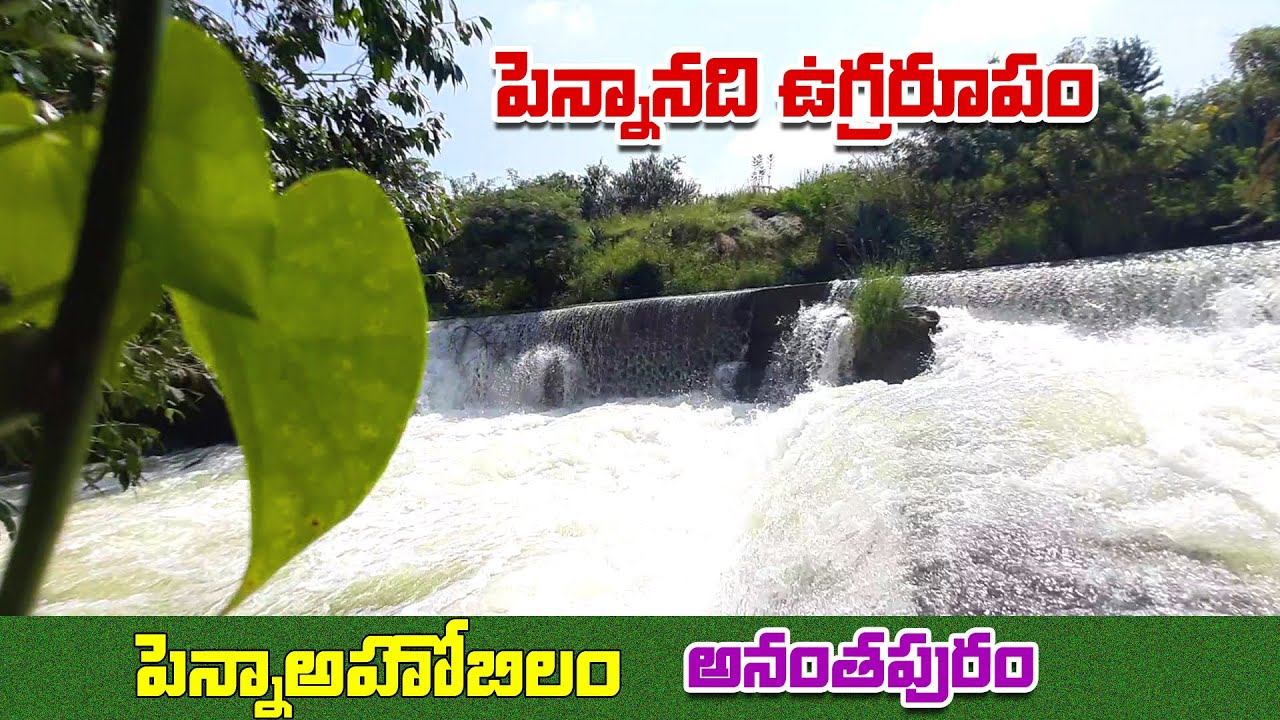 ఉదృతంగా ప్రవహిస్తున్న పెన్నా నది ! Pennahobilam Waterfalls ! Svr Creative Vlogs ! Today Penna ...