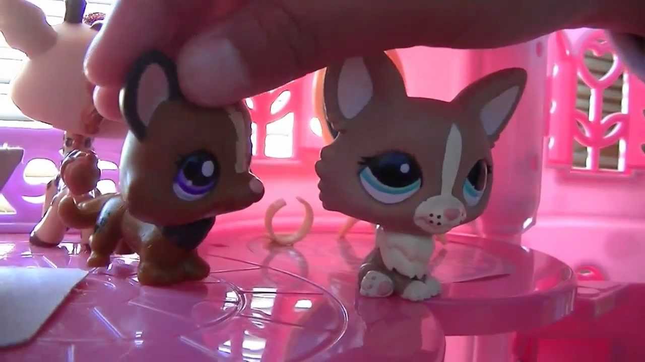 LPS Salon part 1 - Chelsea's day out at the salon - YouTube